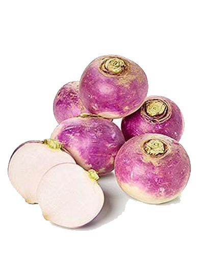 Navet – Experts Herbs